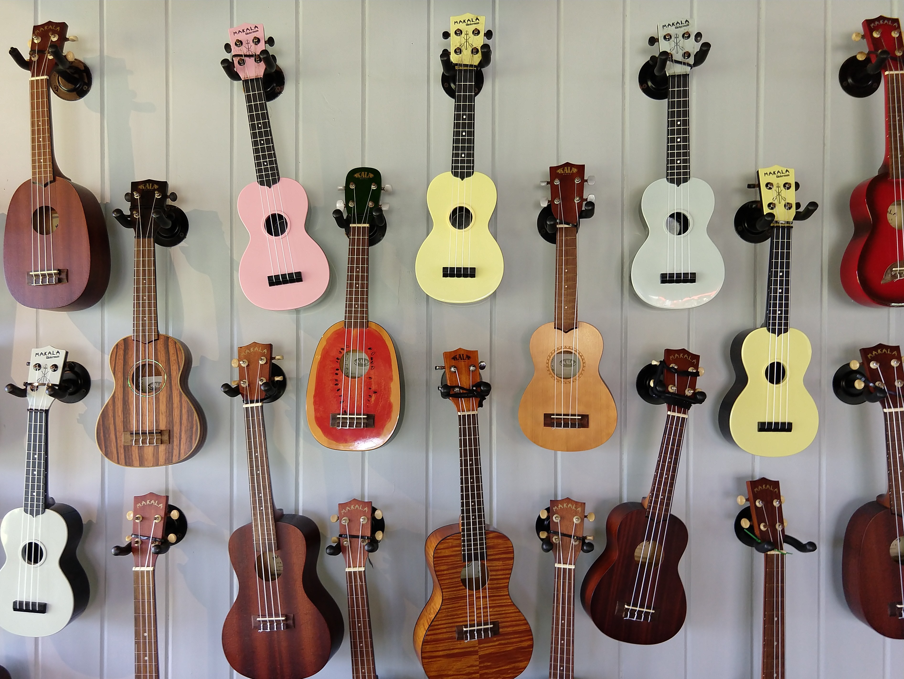 Authentic Project Ideas – The Ukulele…Maybe – The Educational Journey