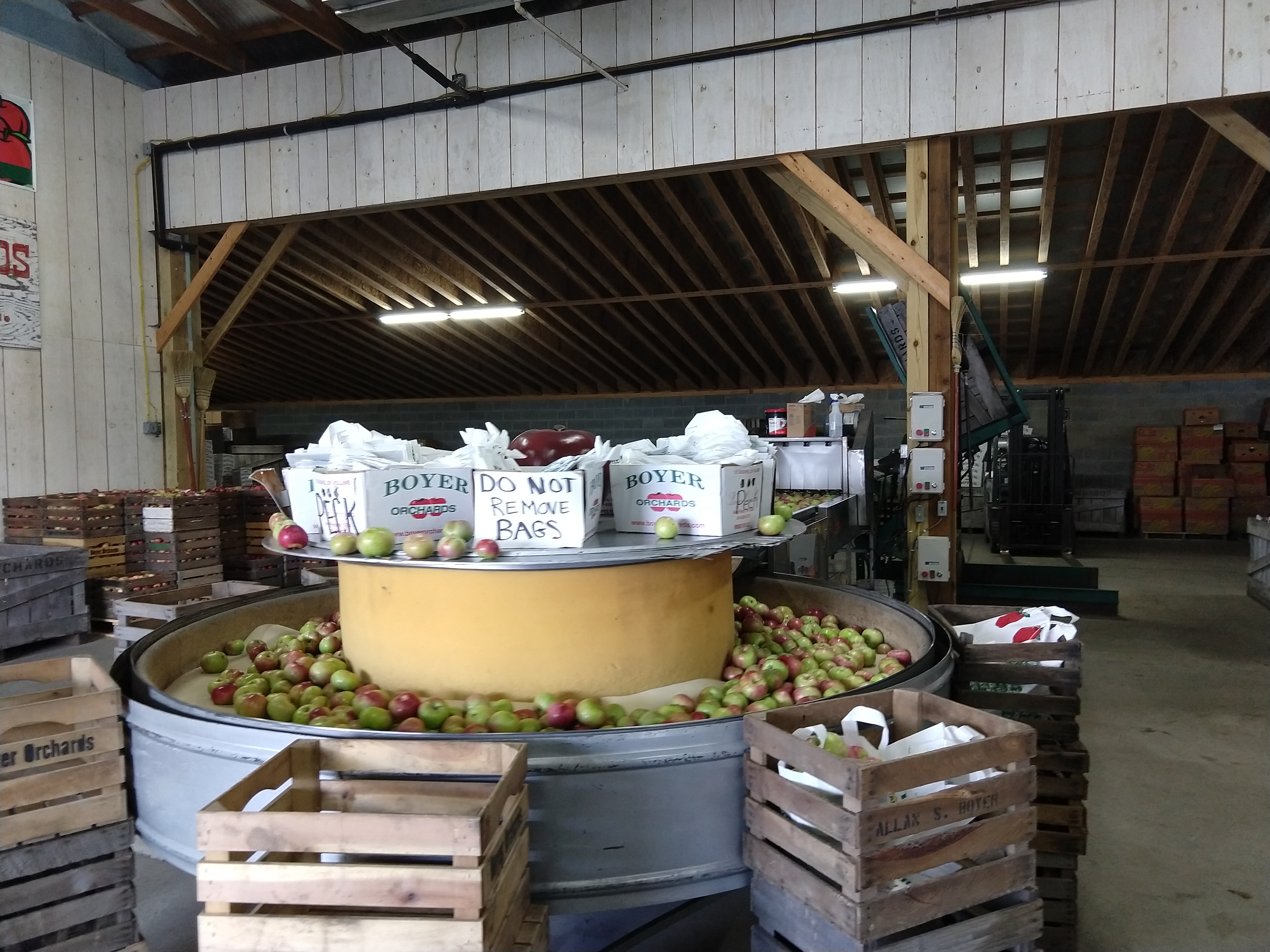 Authentic Project Ideas – Sorting Apples? – The Educational Journey